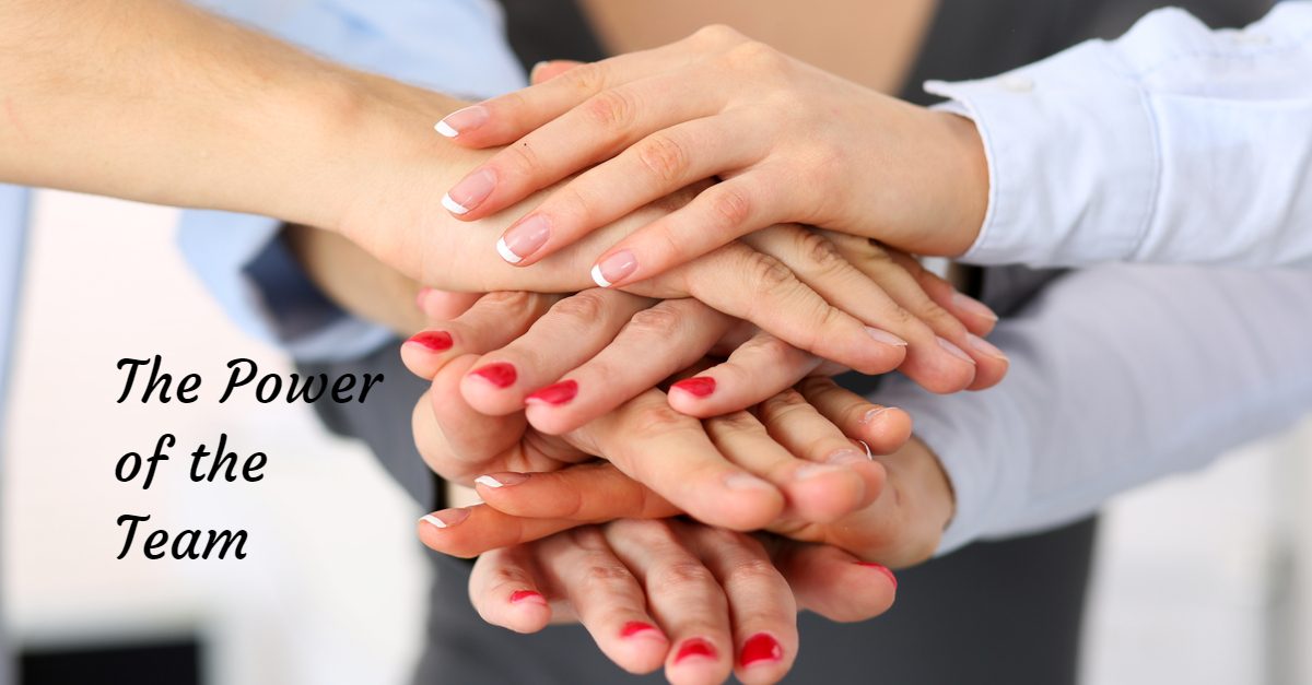 Leadership Team - Try It!Leadership Team - Try It! - Apple Awards